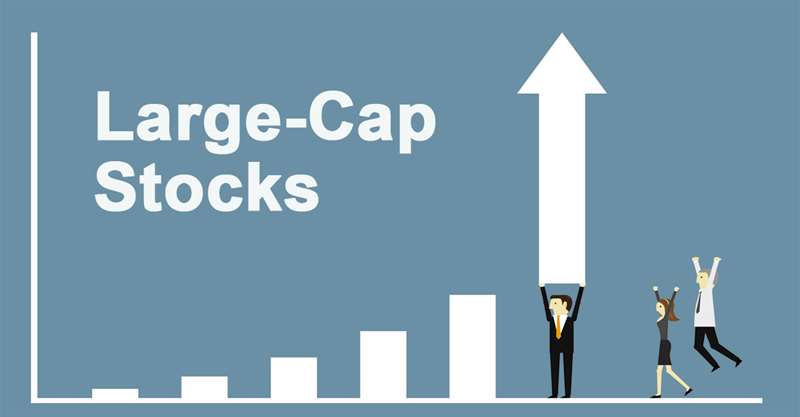 Best Large-Cap Stocks in India 2025 to Invest » INVESTOR ACADEMY